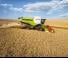 Claas Lexion 770 Specifications & Technical Data (2015-2019) | LECTURA ...