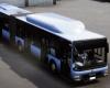 MAN Buses Specs - dimensions and more | LECTURA Specs