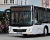 MAN Buses Specs - dimensions and more | LECTURA Specs