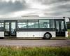 City Buses Specs - dimensions and more - public town buses | LECTURA Specs