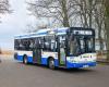 City Buses Specs - dimensions and more - public town buses | LECTURA Specs