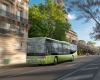 Setra Buses Specs - dimensions and more | LECTURA Specs