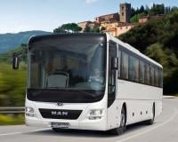 MAN Buses Specs - dimensions and more | LECTURA Specs