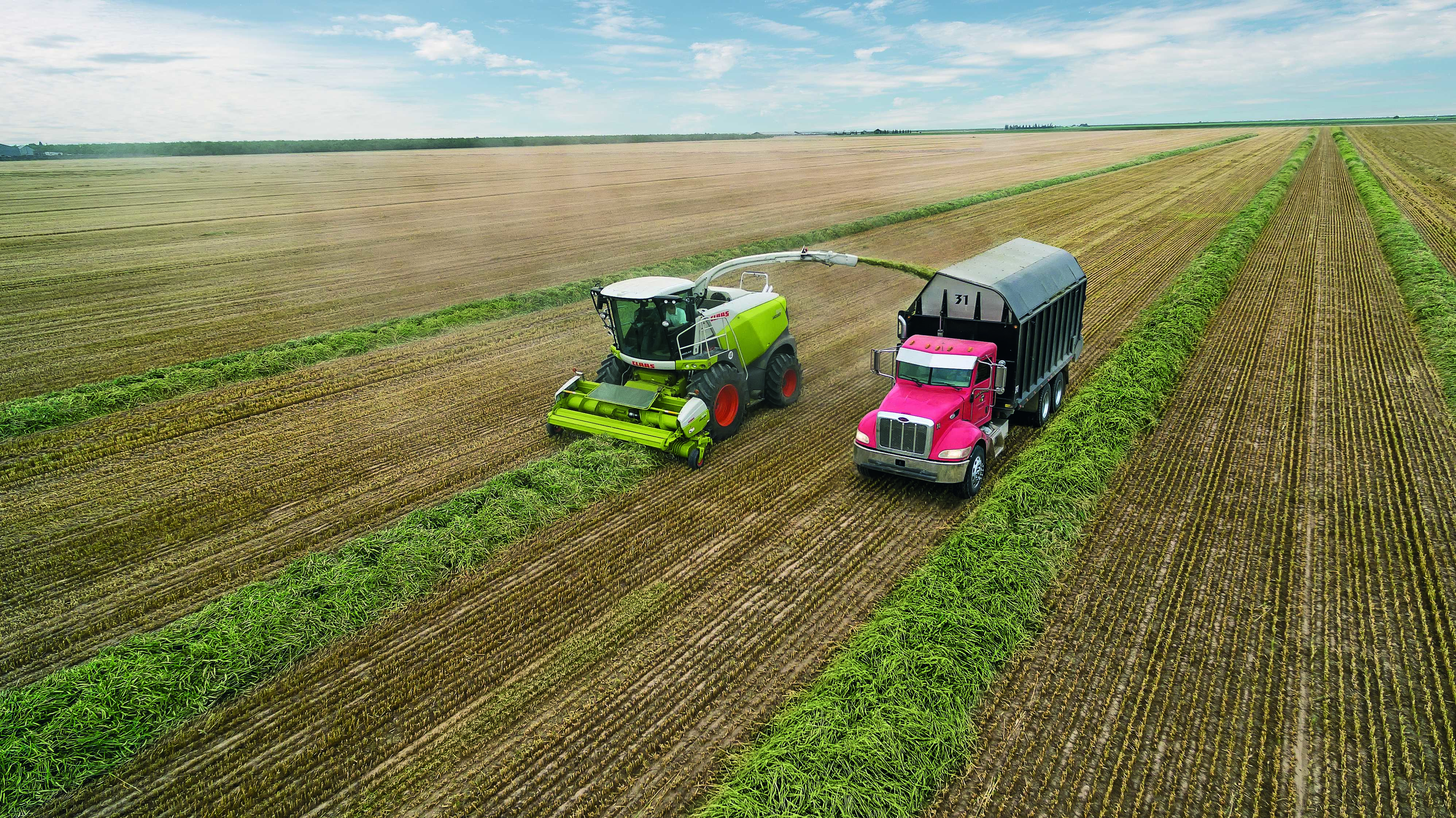 Claas Jaguar 980 Specifications & Technical Data (2016-2019) | LECTURA ...