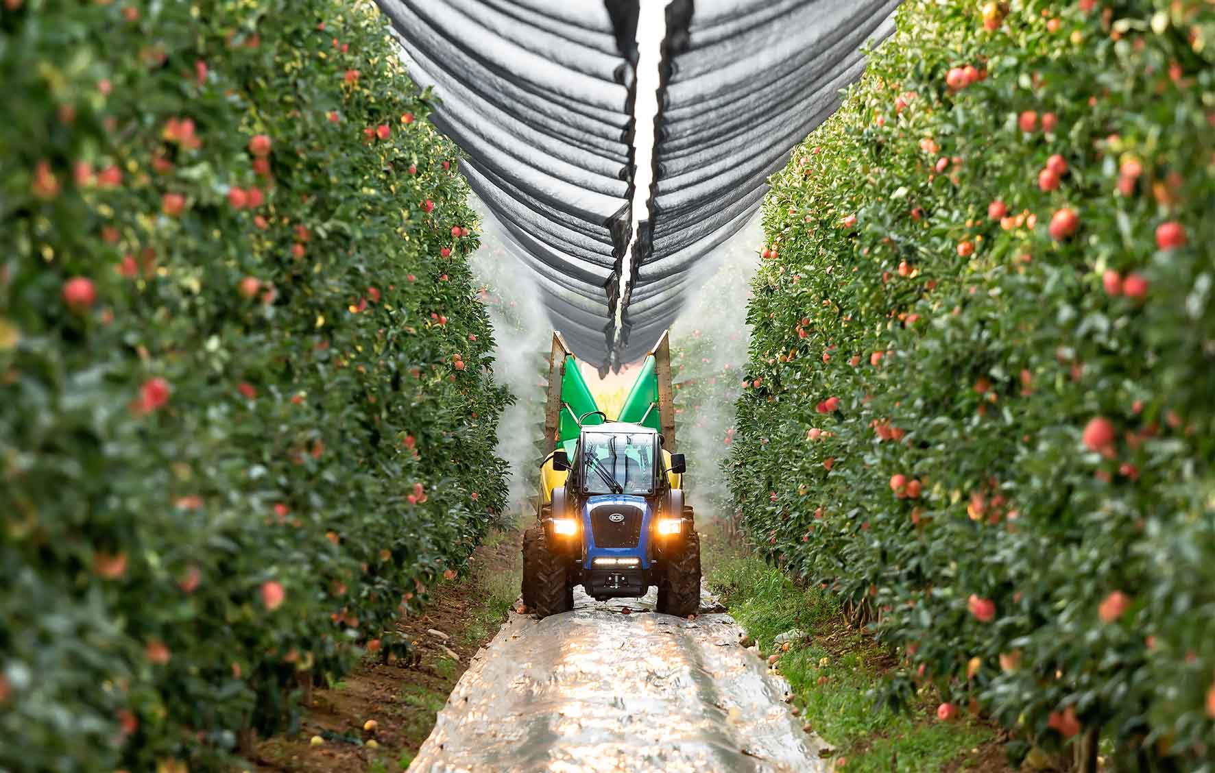 BCS Eagle 85 RS SDT 4WD Tractor Specs & Dimensions (2023 - 2025) | LECTURA Specs