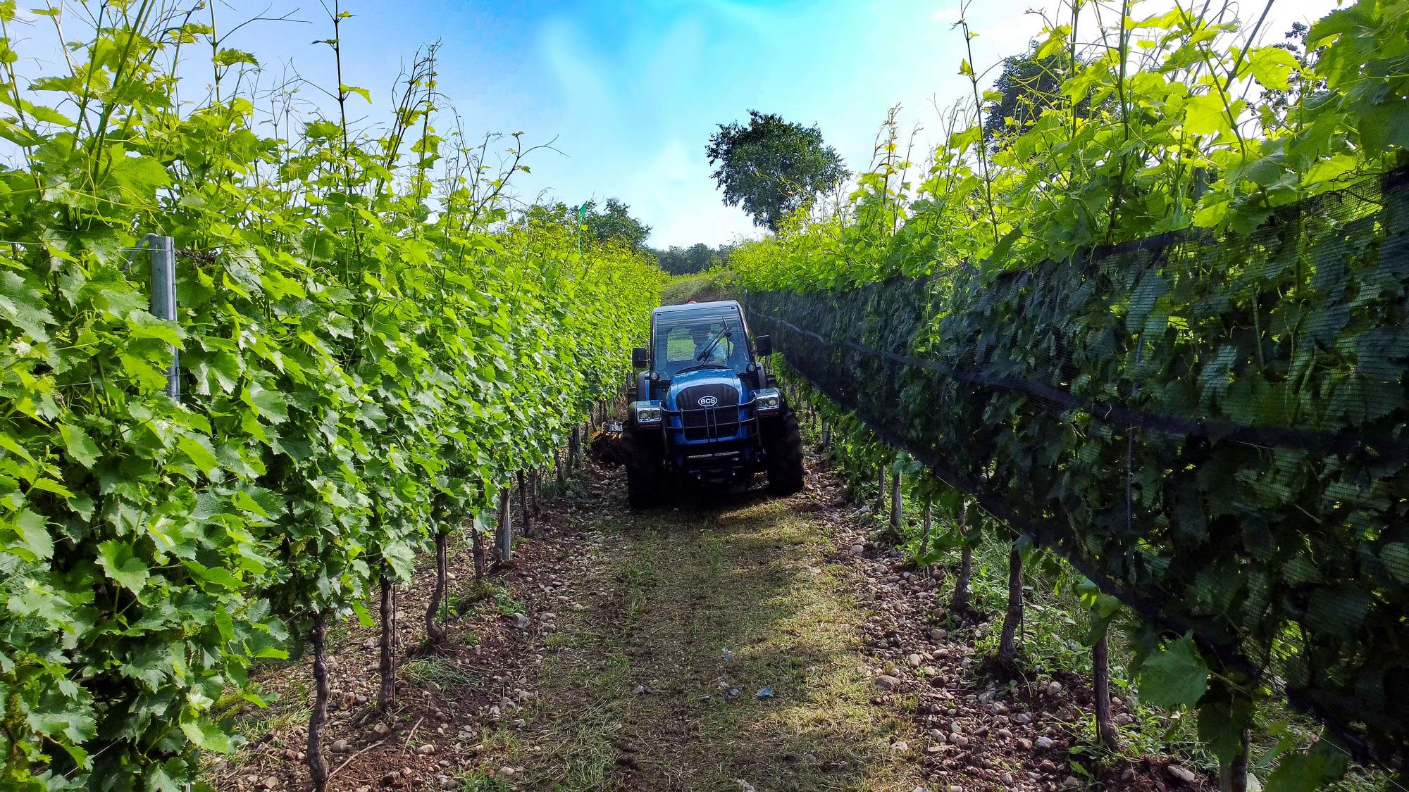 BCS Fighter 85 RS SDT 4WD Tractor Specs & Dimensions (2023 - 2025) | LECTURA Specs