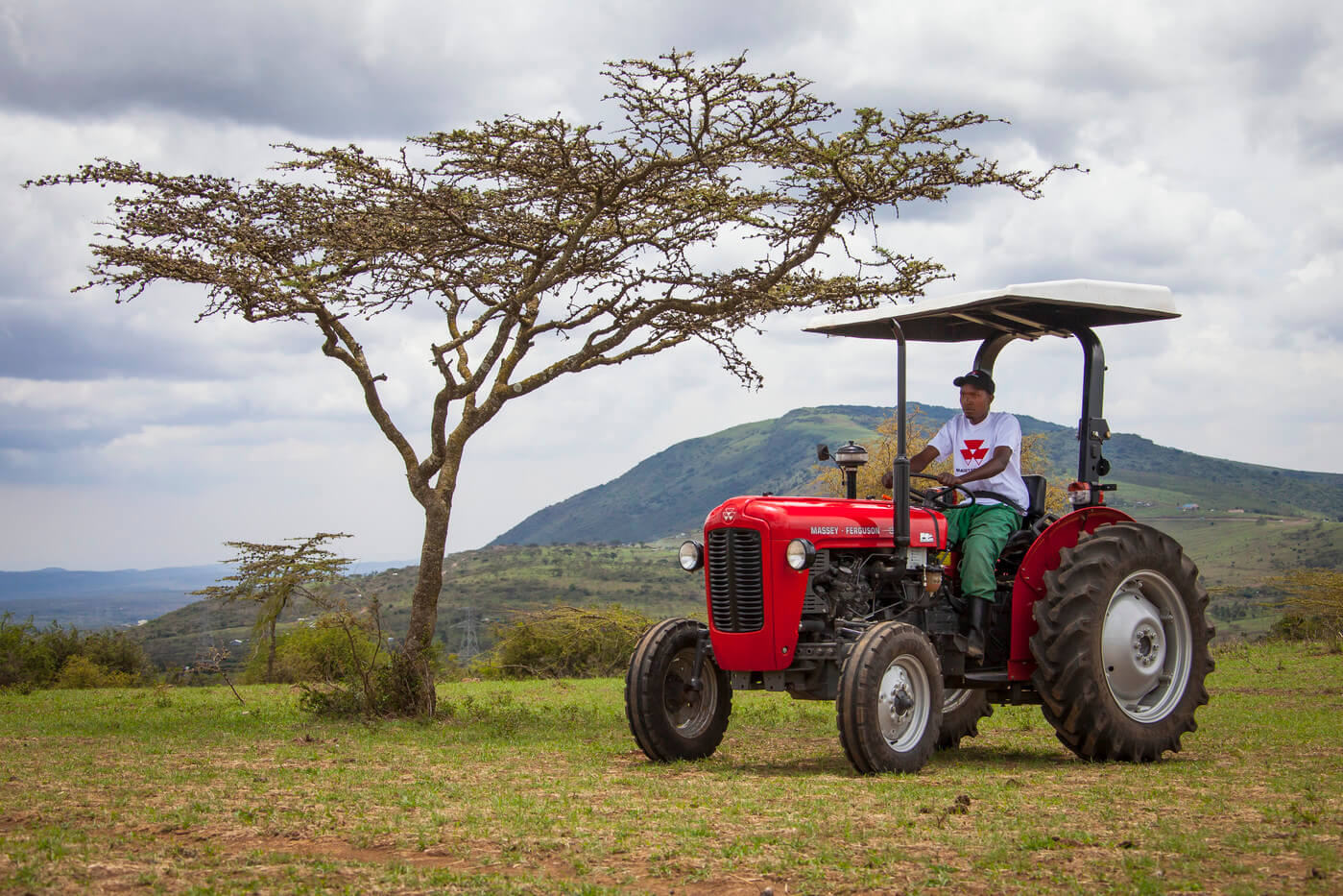 Massey Ferguson MF 35 4WD Tractor Specs & Dimensions (2022 - 2025 ...