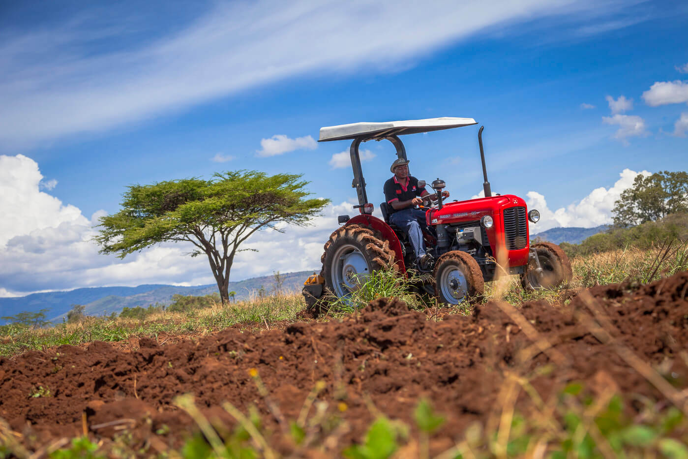 Massey Ferguson MF 35 4WD Tractor Specs & Dimensions (2022 - 2025 ...