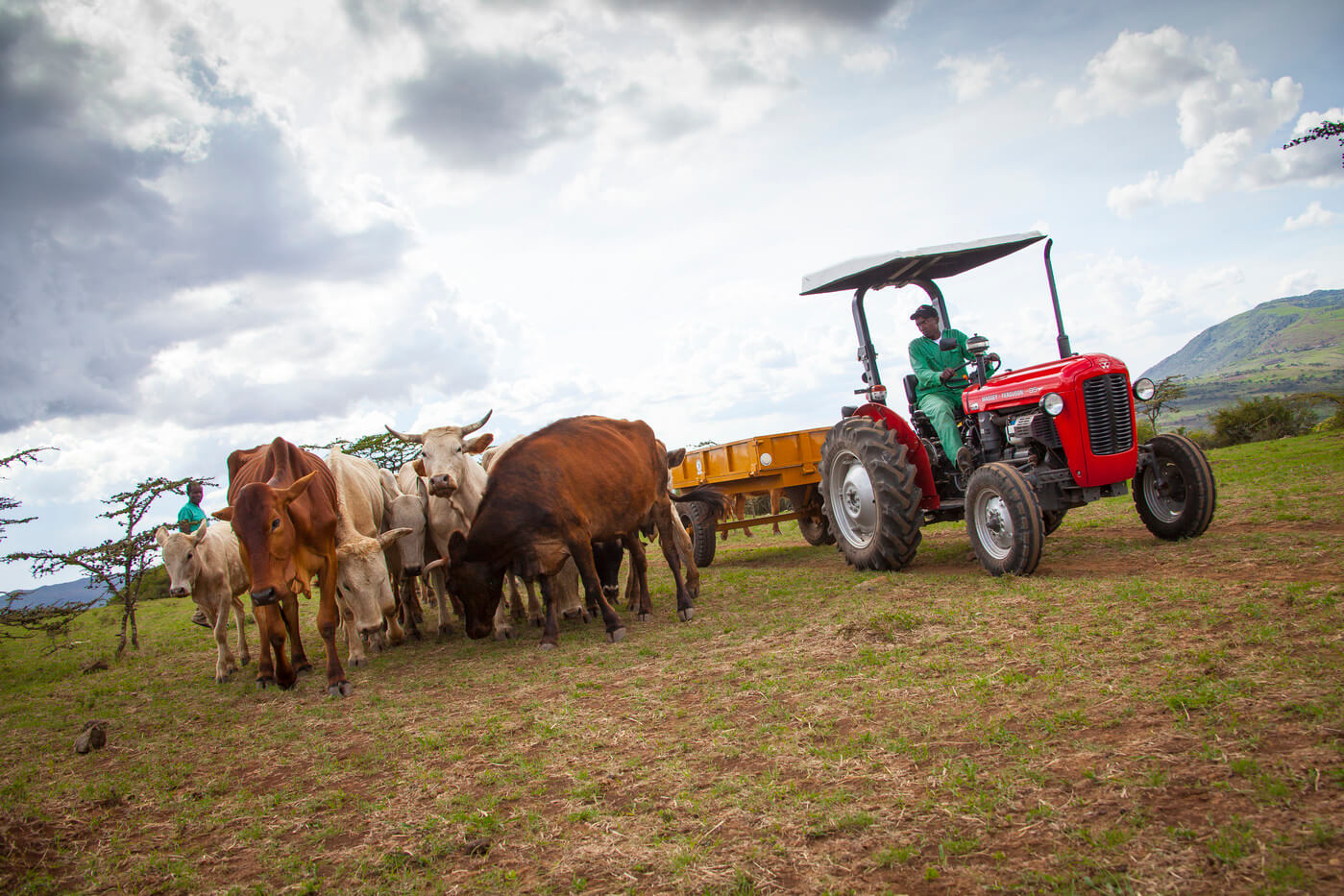 Massey Ferguson MF 35 4WD Tractor Specs & Dimensions (2022 - 2025 ...