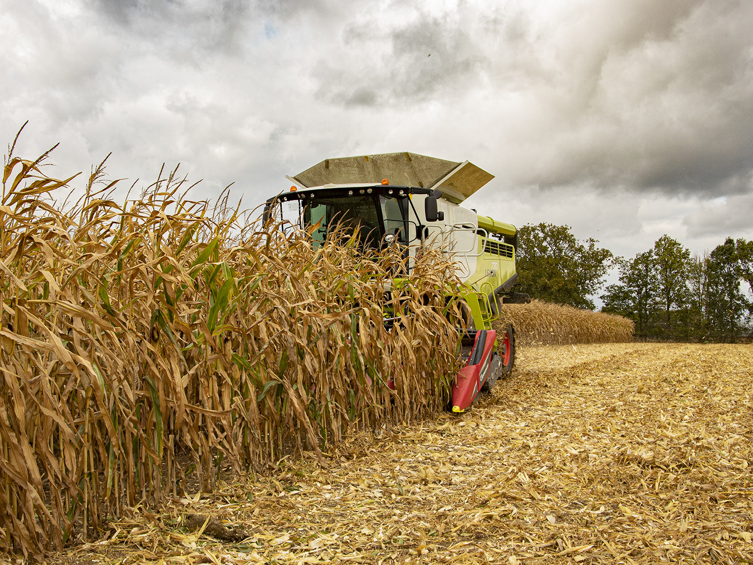 Geringhoff HSIII Razor 800 FB Specifications & Technical Data (2024 ...