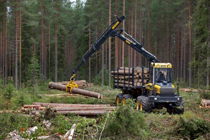 Ponsse Buffalo Specifications & Technical Data (2000-2025) | LECTURA Specs