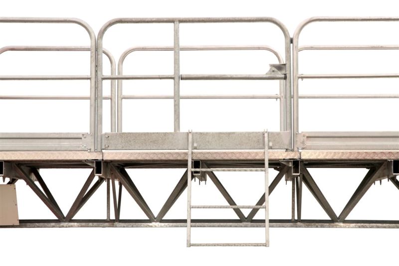 Scanclimber Maxus SC5000 Specs & Dimensions (2017 - 2025) | Mast Climbing Work Platforms ...