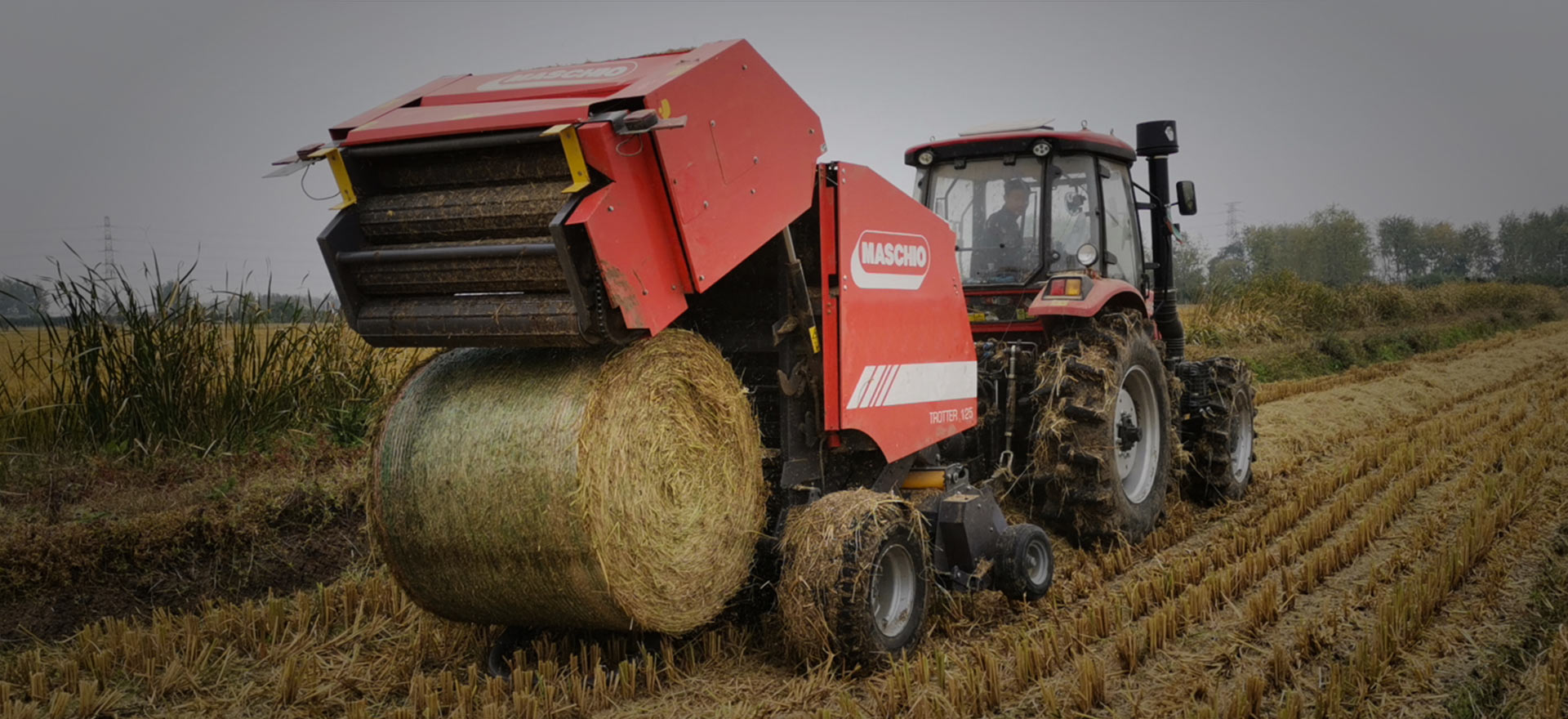 Maschio Trotter 125 ULTRACUT Specifications & Technical Data (2023-2025 ...