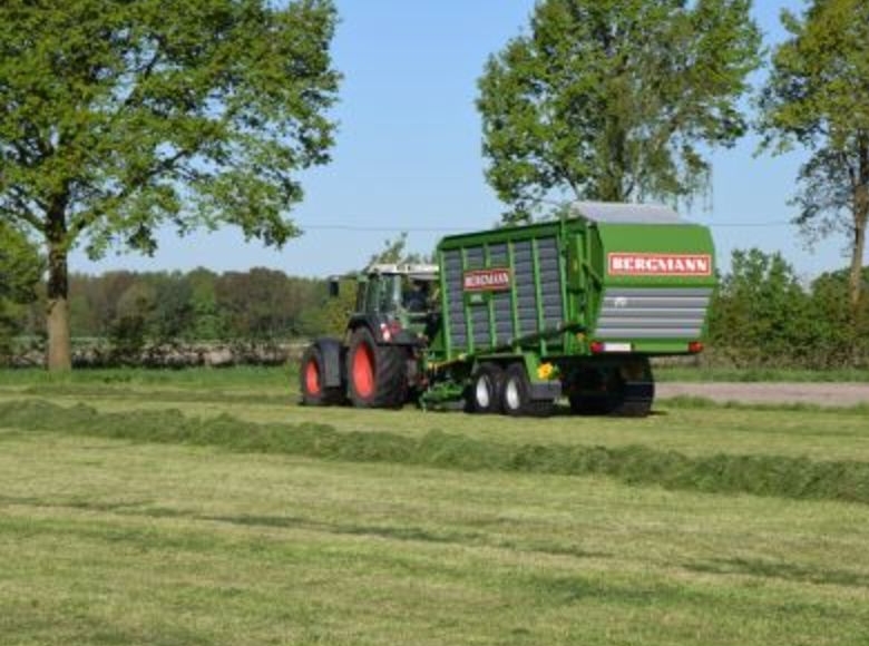 L. Bergmann Royal 260 S Specifications & Technical Data (2018-2025 ...