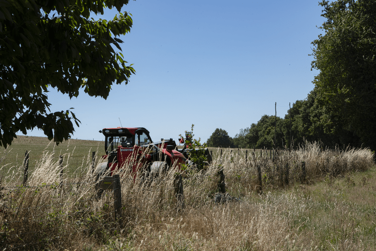 Manitou MLT 630-115 D Classic telehandler specs & dimensions (2021 ...
