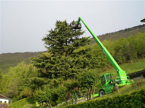 Merlo Roto 45.19 MCSS rotating telehandler specs & dimensions (2004 ...
